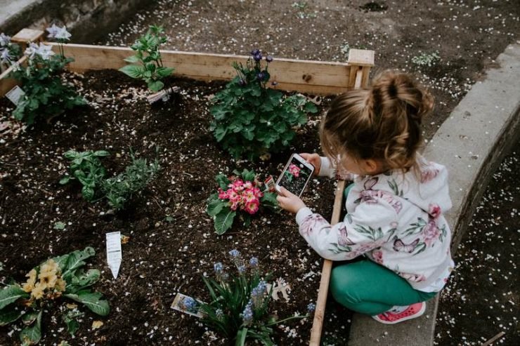 Gardening Without a Garden: 10 Ideas for Your Patio or Balcony