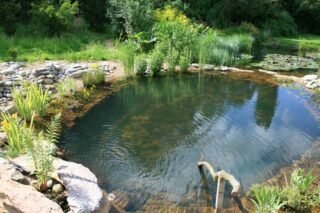 DIY Tips on How to Build Your Own Swimming Pool