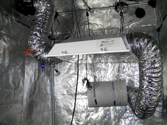 Why Using a Grow Tent Fan Is Essential When Growing Indoors