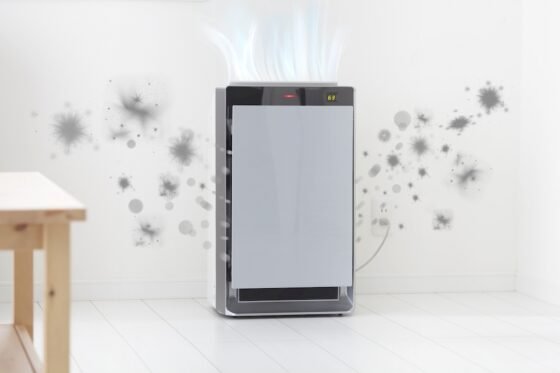 Keep It Clean: 5 Must-Know Tips for Purifying Air in Your Home