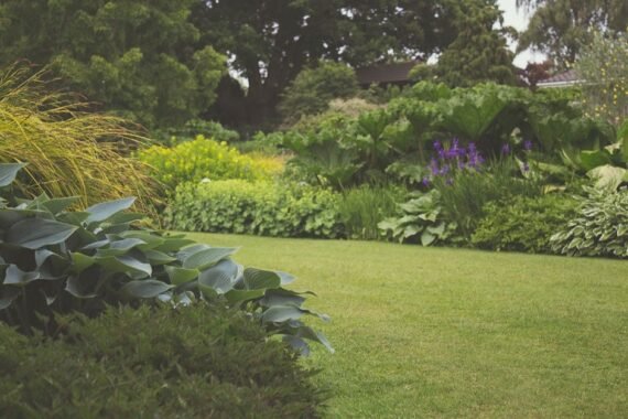 9 Essential Yard Maintenance Tips