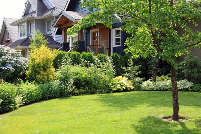 4 Awesome Benefits of Trees for Your Lawn