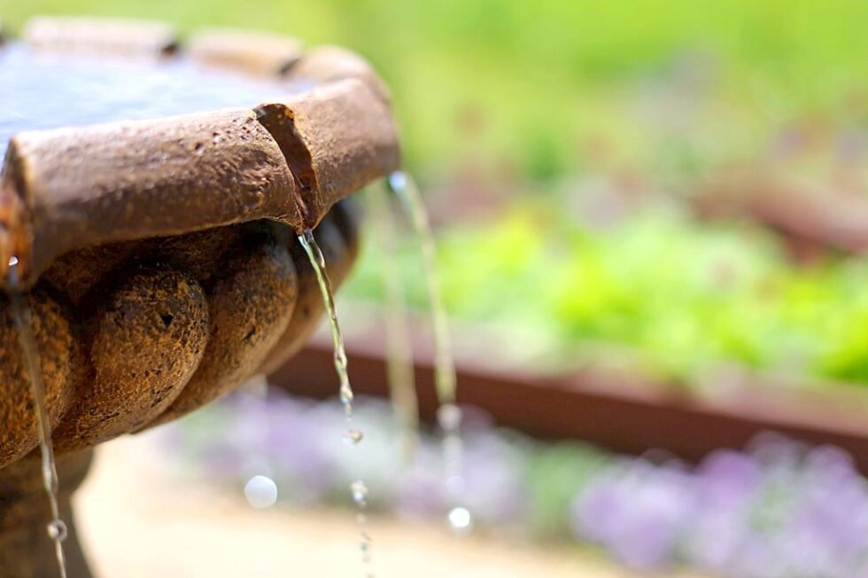 DIY Landscapes: How to Landscape Your Lawn Like a Pro