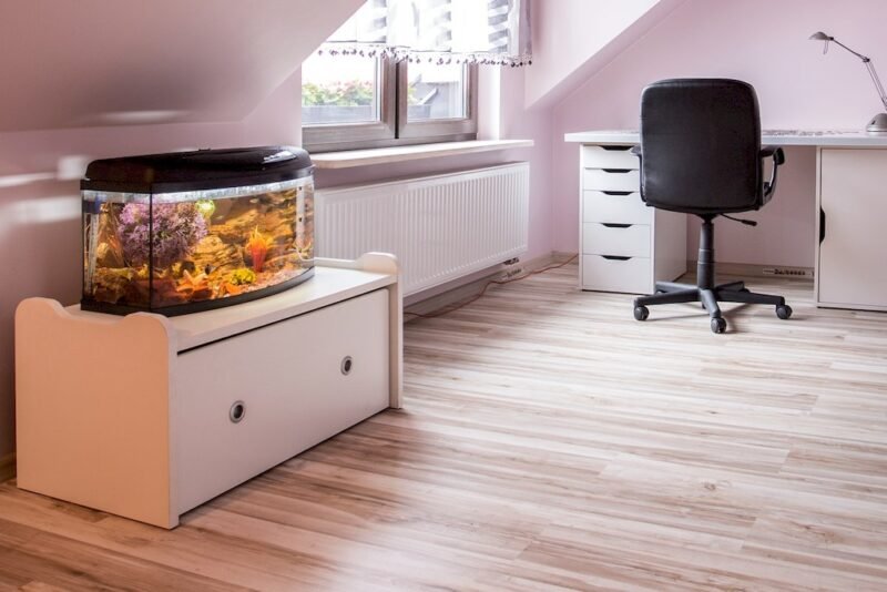 How to Choose a Fish Tank to Be Placed Inside Your Home