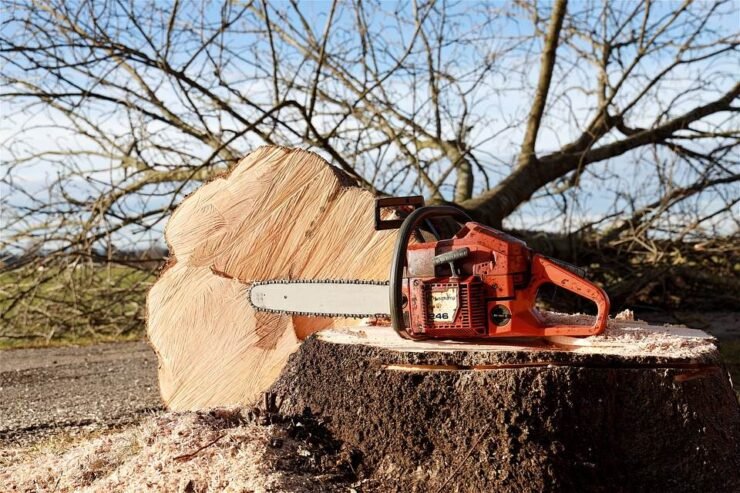 7 Tips to Safely Operate Chainsaw
