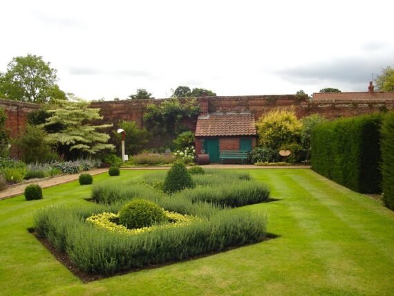 The Ultimate Guide to a Beautiful Lawn