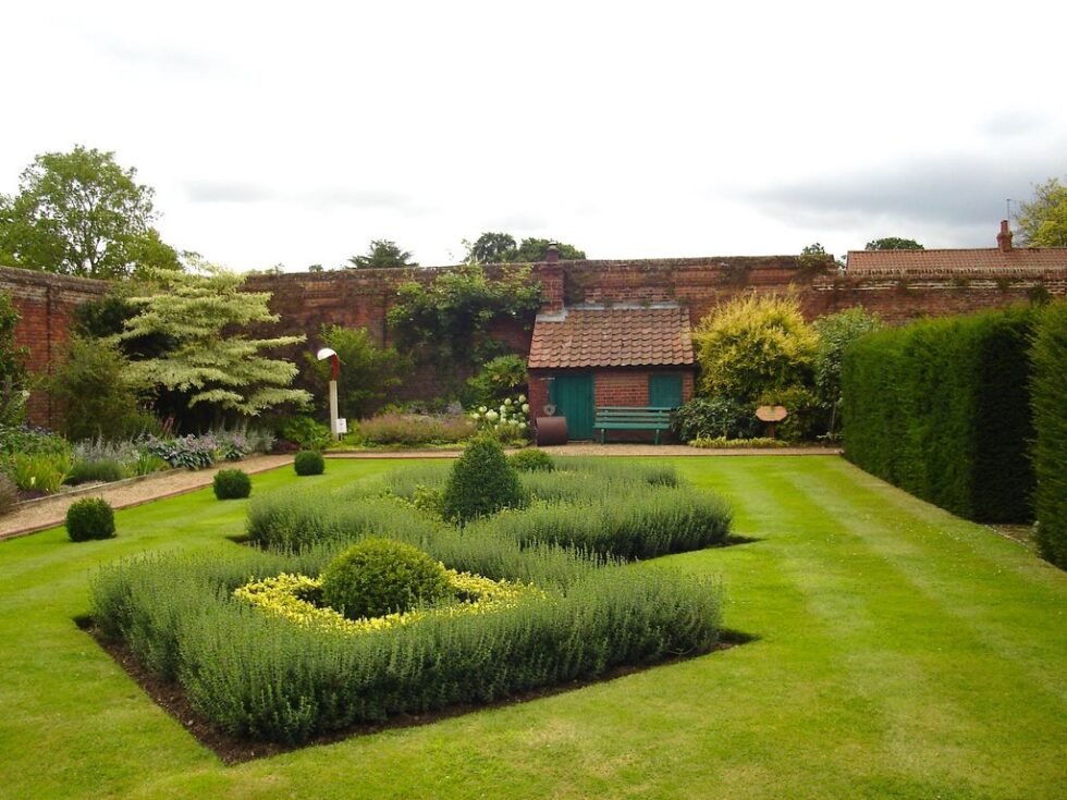 The Ultimate Guide to a Beautiful Lawn
