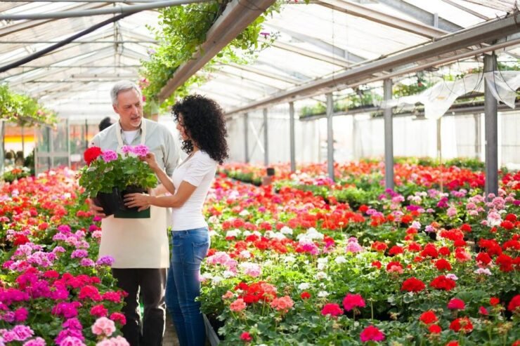 Plant Delivery and Choosing the Best for Your Home