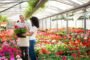 Plant Delivery and Choosing the Best for Your Home