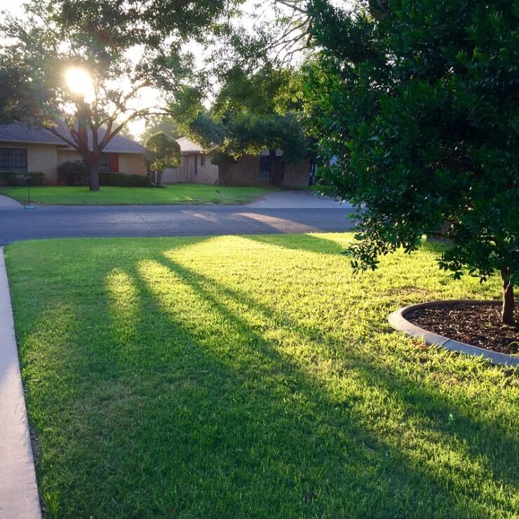 How to Get a Green Lawn According to the Pros