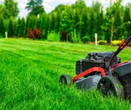 4 Fall Lawn Care Tips to Keep Your Lawn Looking Its Best