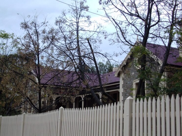 7 Roofing Maintenance Tips Everyone Should Know